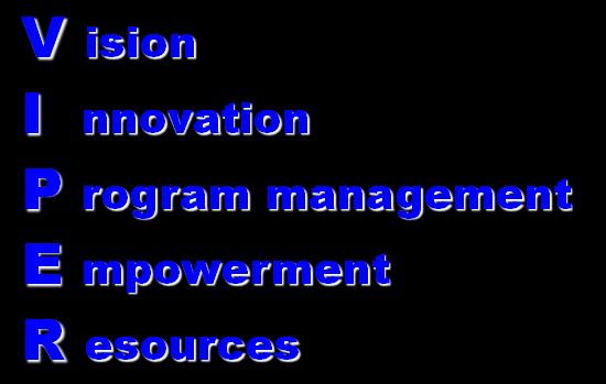 The V.I.P.E.R. Success Principles | Leading Strategic Initiatives