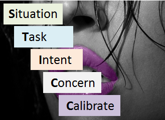 S.T.I.C.C. – A Useful Communication Tool for Critical Situations ...